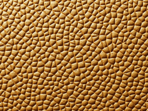 Piñatex (Pineapple Leather): A Sustainable Revolution in Fashion ...